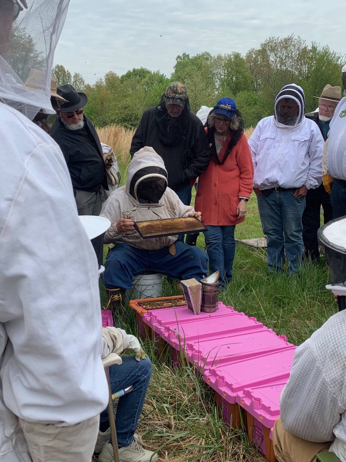 How Much Do Beekeepers Make? - Backyard Beekeeping